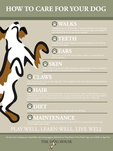 Beyond The Basics | Care | Caring for Your Dog | The Dog House